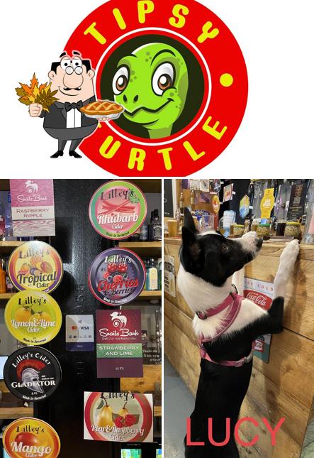 Tipsy turtle, Stockton-on-Tees - Restaurant menu, prices and reviews