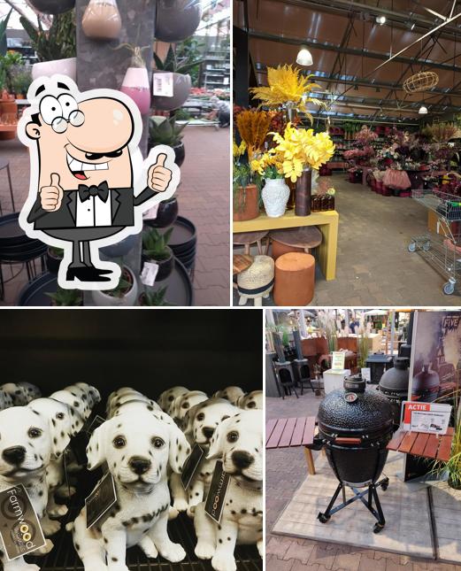 Intratuin Utrecht, Utrecht - Restaurant reviews