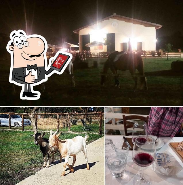 La tenuta dei piani restaurant, Rome - Restaurant reviews