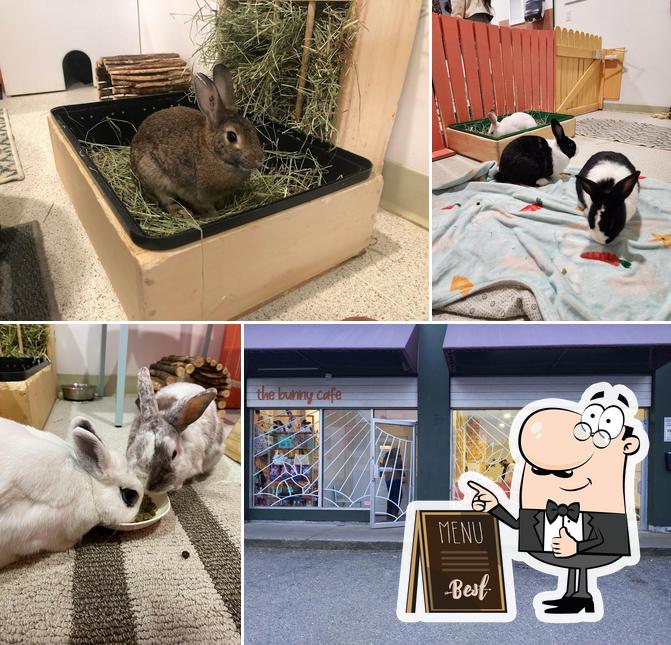 The Bunny Cafe, Vancouver - Critiques de restaurant