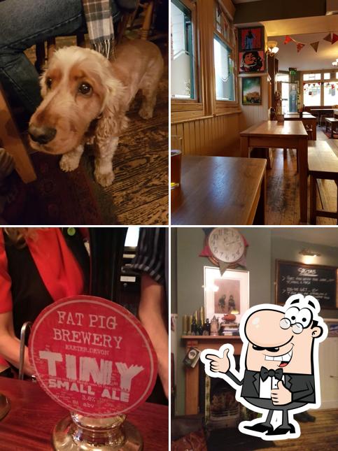 The Fat Pig, Exeter - Restaurant menu, prices and reviews