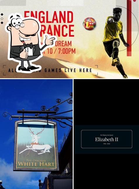 Original White Hart in Ringwood - Restaurant menu and reviews