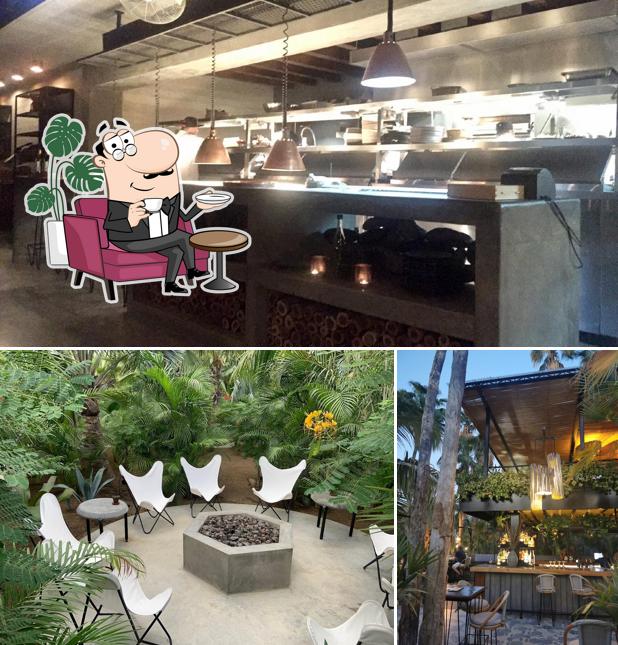 Acre Restaurant, San José del Cabo - Restaurant menu, prices and reviews