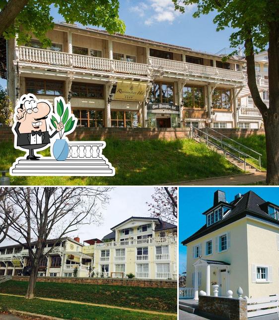 Schäfer Rheinischer Hof, Ginsheim-Gustavsburg - Speisekarte, Preise und ...