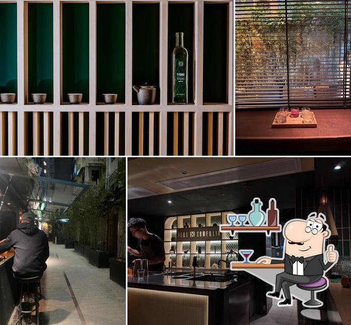 Tell Camellia pub & bar, Hong Kong - Restaurant reviews
