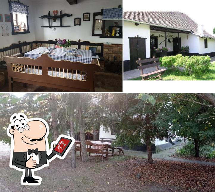 Babin Salaš, Zabalj - Restaurant menu, prices and reviews