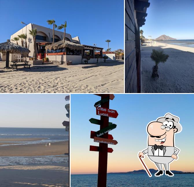 Top 5 restaurants with chicharrón in San Felipe, Baja California, march ...