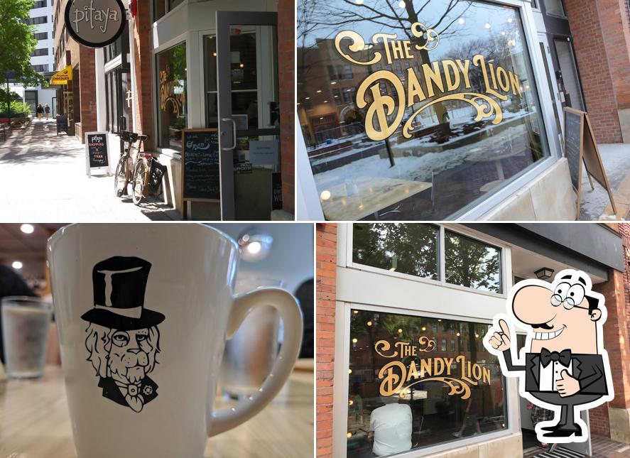The Dandy Lion, Iowa City - Restaurant menu, prices and reviews
