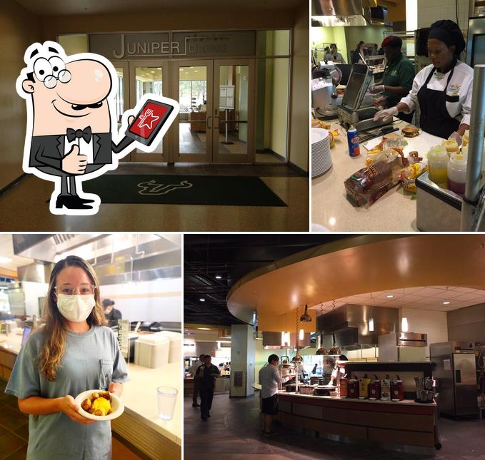 Juniper Dining in Tampa - Restaurant reviews
