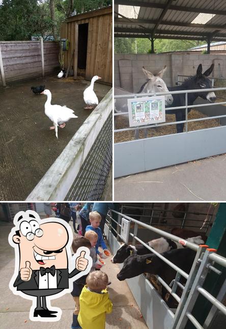 Reddish Vale Farm, Stockport - Restaurant menu, prices and reviews