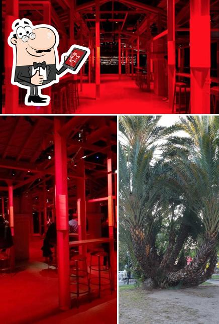 Rive Rouge pub & bar, Lisbon, Praça Dom Luís I - Restaurant menu and ...