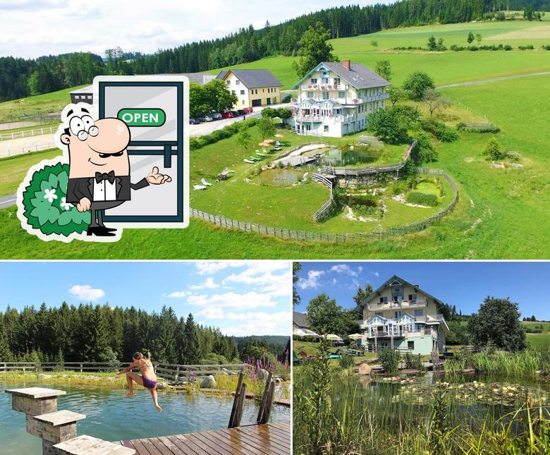 Das Leitner "Home&Horse" (Narnhoferwirt), Sankt Jakob im Walde - Restaurant menu, prices and reviews