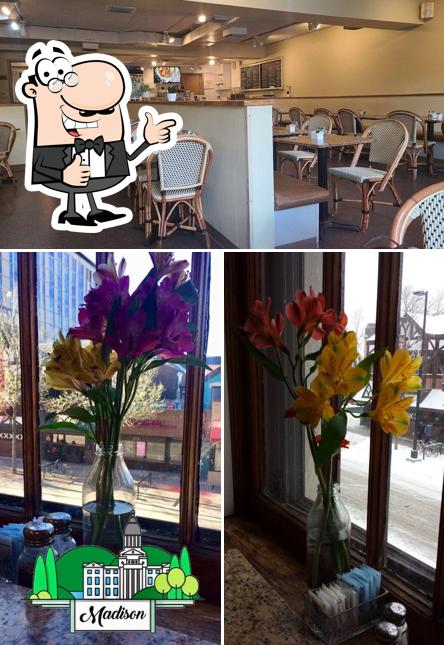 Sunroom Cafe in Madison - Restaurant menu and reviews