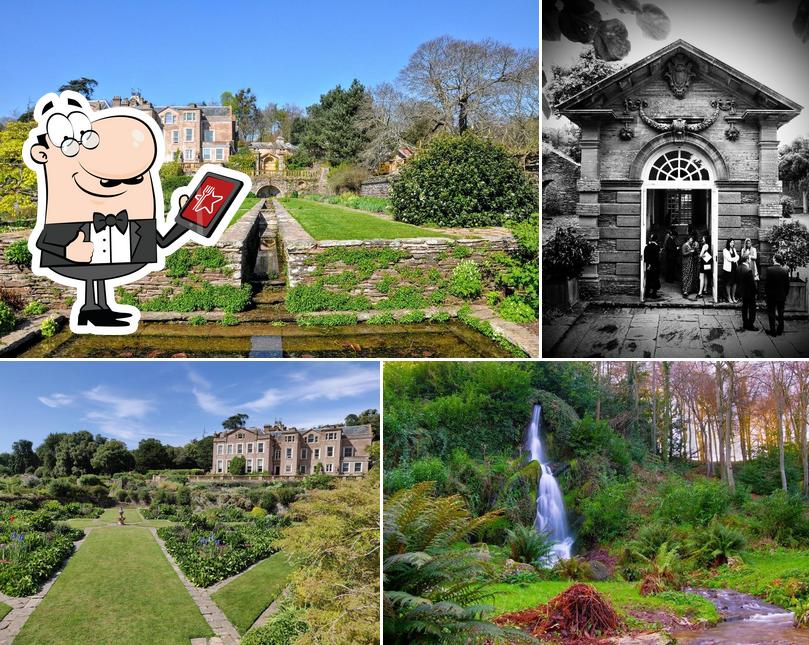 Hestercombe House & Gardens in Taunton - Restaurant reviews