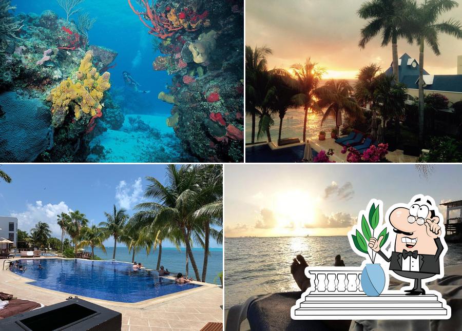 Villa Rolandi Thalasso Spa Gourmet & Beach Club Hotel, Isla Mujeres ...