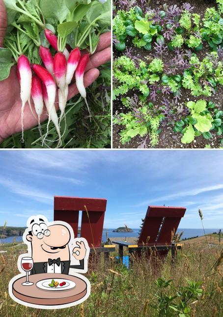 Fishers' Loft Hiking and Walking in Port Rexton