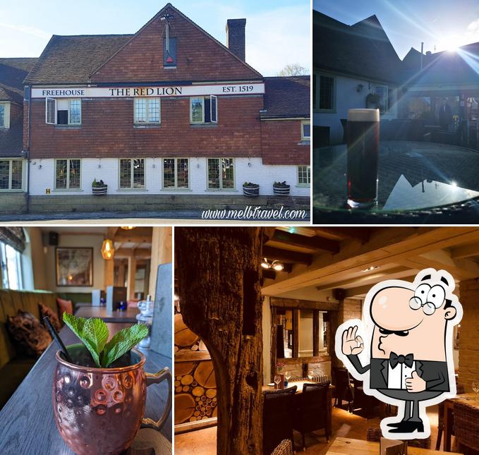 Red Lion Handcross, Free house, High St in Handcross - Restaurant menu ...