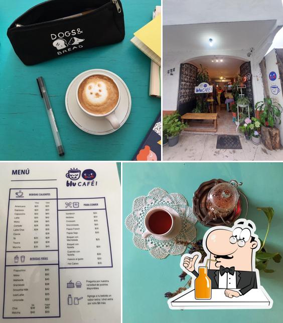 Blu café, Mexico City - Restaurant reviews