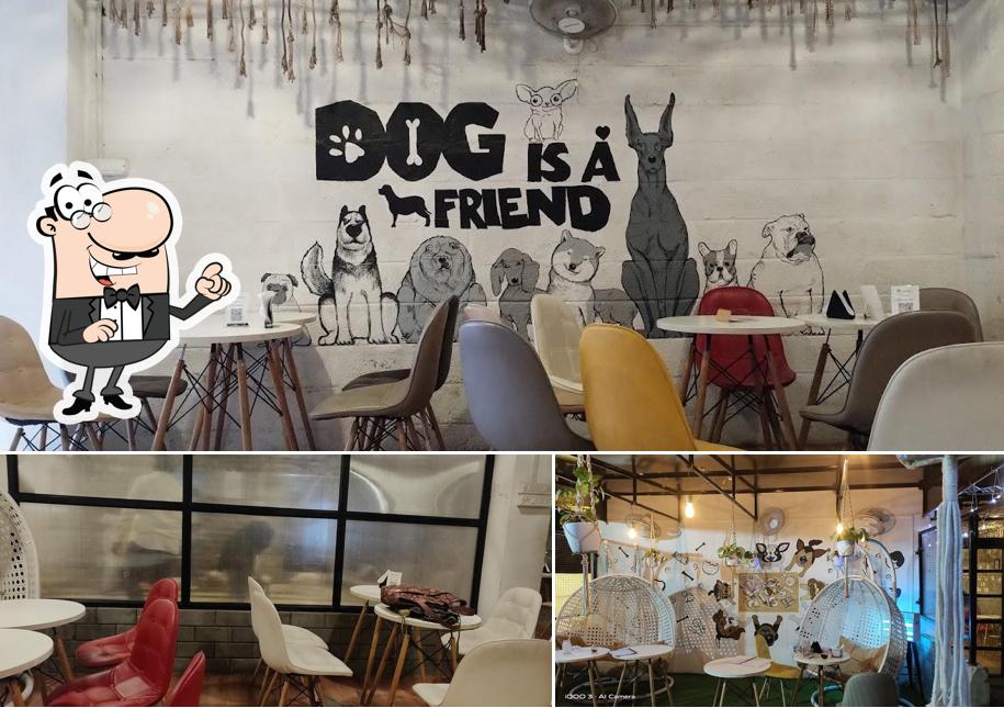 The Paws's Cafe, Coimbatore - Restaurant menu, prices and reviews