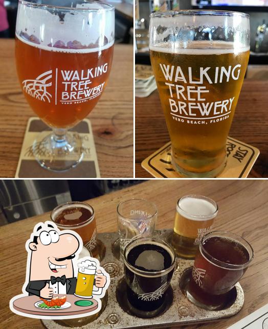 Walking Tree Brewery in Vero Beach - Restaurant reviews