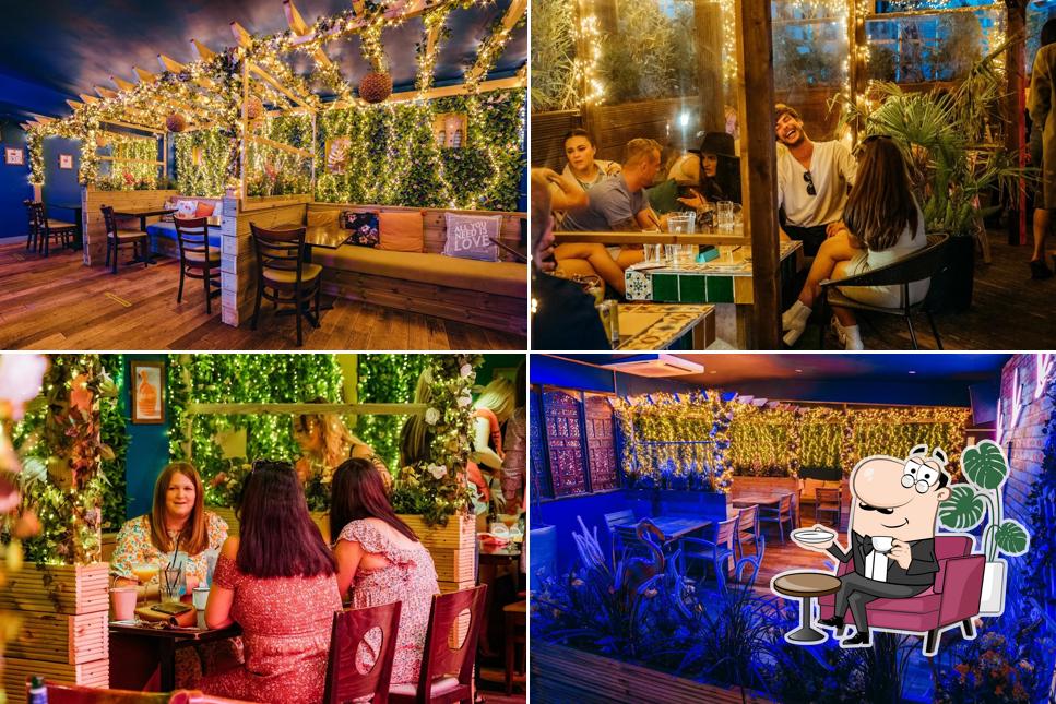 Funky Flamingo Southampton - Lounge & Roof Garden, Southampton ...