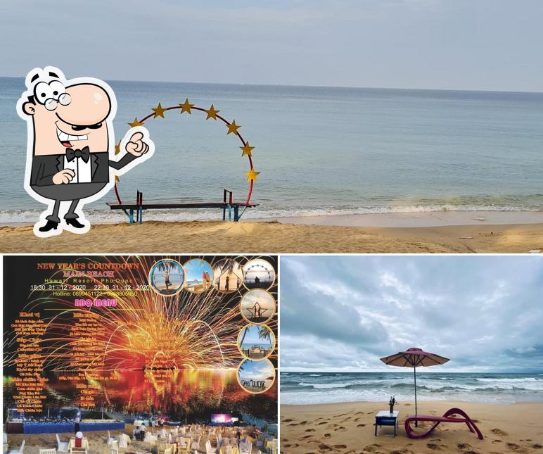 Aloha Seafood & Bar, Phu Quoc - Restaurant menu, prices and reviews