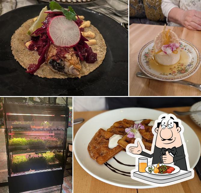 Bloom Plant Based Kitchen in Chicago - Restaurant menu and reviews