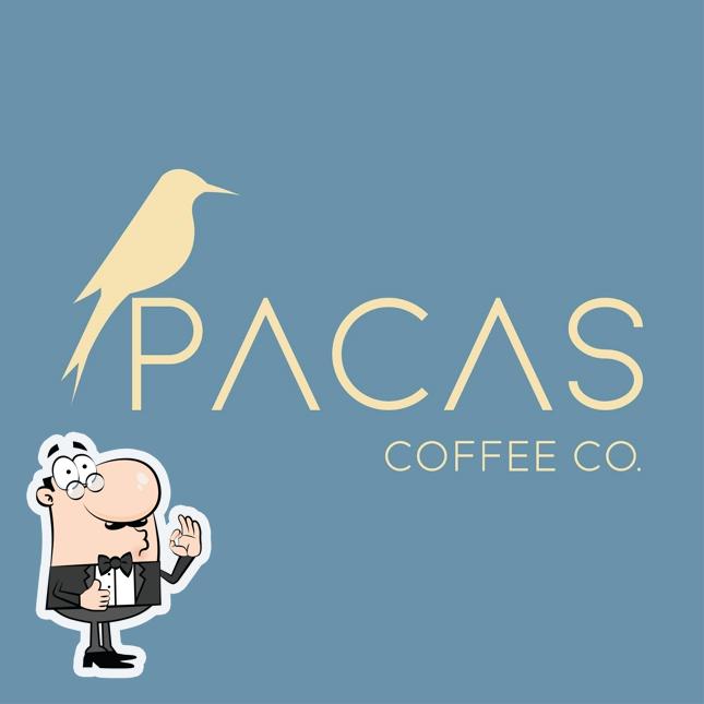 Pacas Coffee roaster Co., Ankara - Restaurant reviews