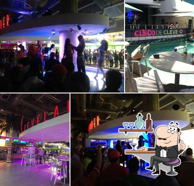 Clevelander, 501 Marlins Way in Miami - Restaurant reviews
