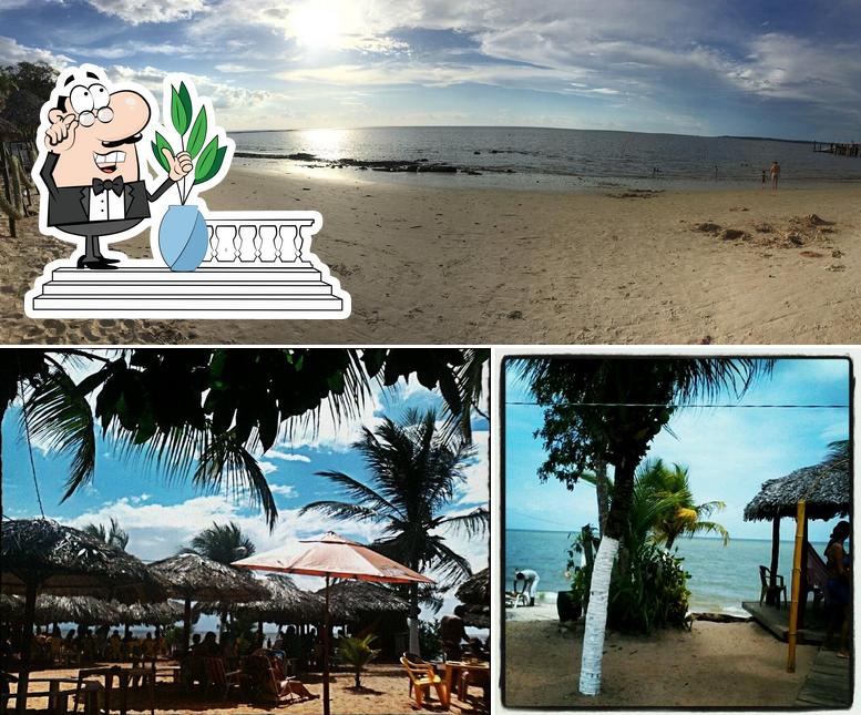 Restaurante Samauma, Brazil - Restaurant reviews