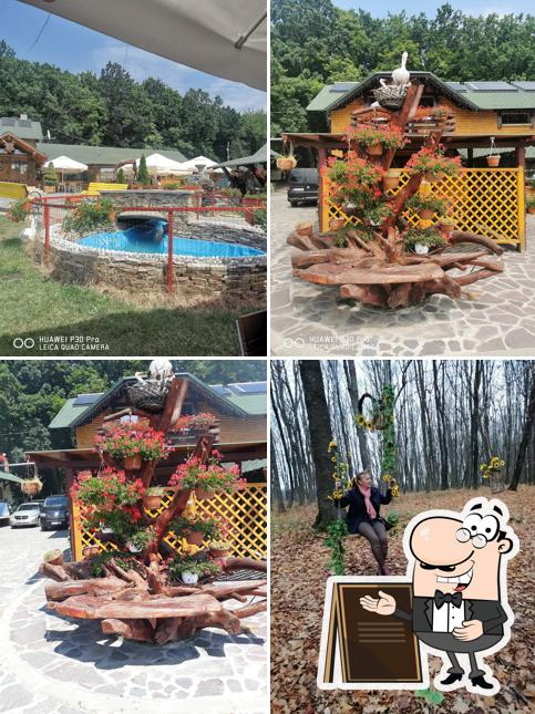 Cabana Vanatoreasca Motca, Moțca - Opiniones del restaurante