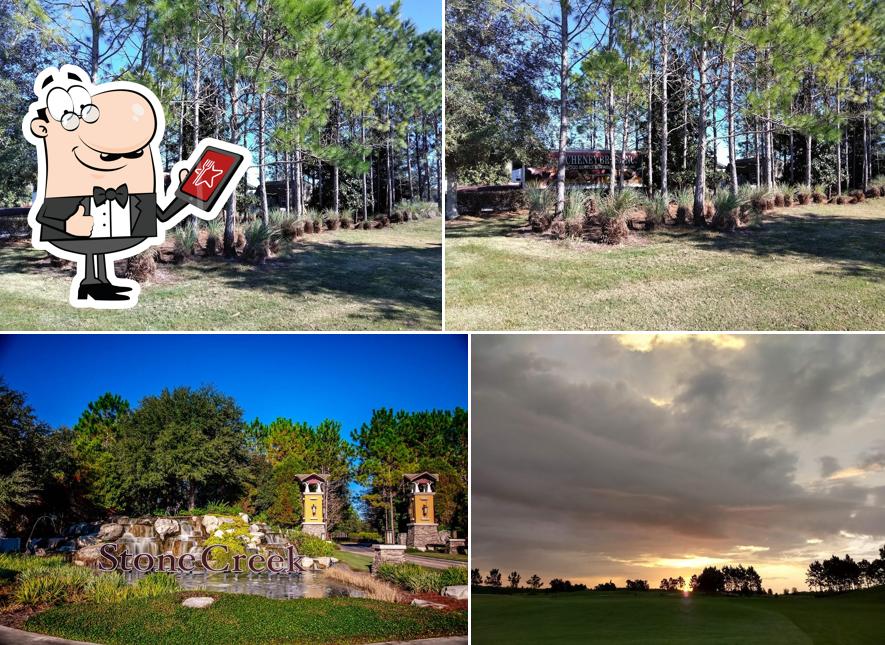 Top 5 restaurants with chili cheese fries in Ocala, december 2025 ...