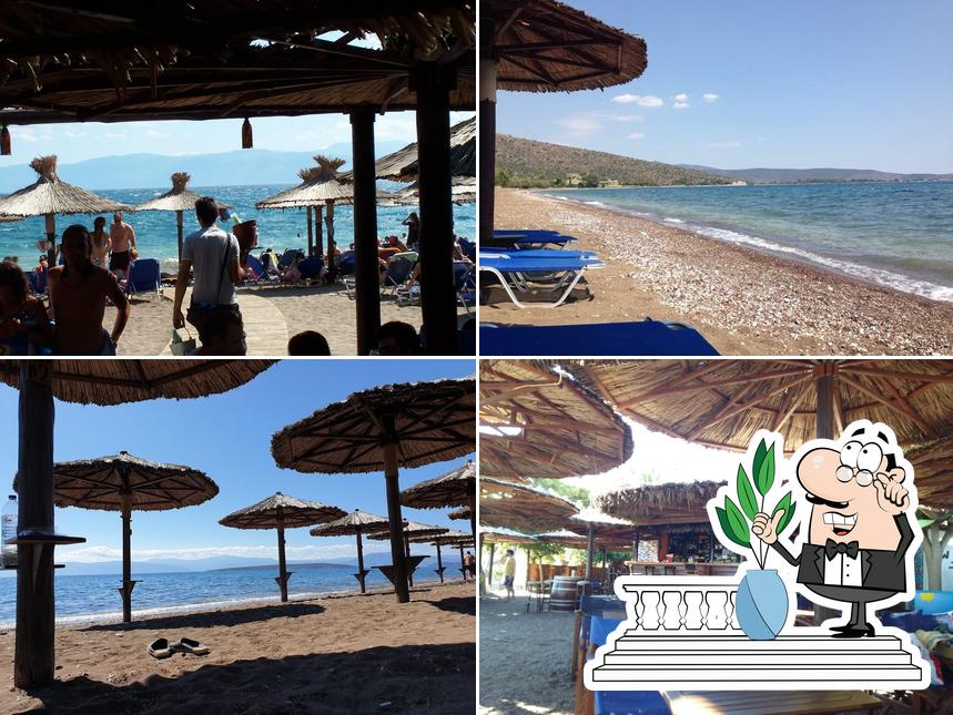 Μπαράκι Candia Beach, Kantia - Restaurant menu, prices and reviews