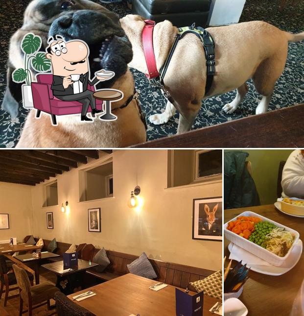 The Blue Lion Inn Cwm, Dyserth - Restaurant menu, prices and reviews