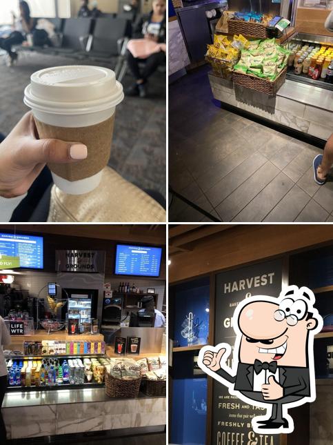 Harvest & Grounds in Atlanta - Restaurant menu and reviews