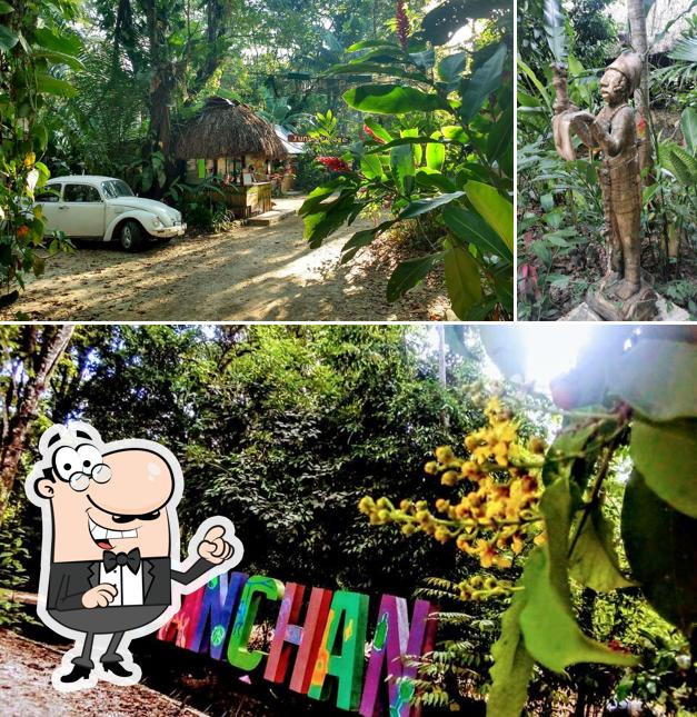 El Panchan, Palenque - Menú del restaurante, precios y reseñas