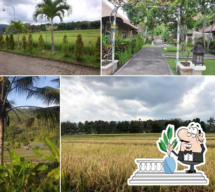 Warung Padi Bali restaurant, Munduk - Restaurant reviews