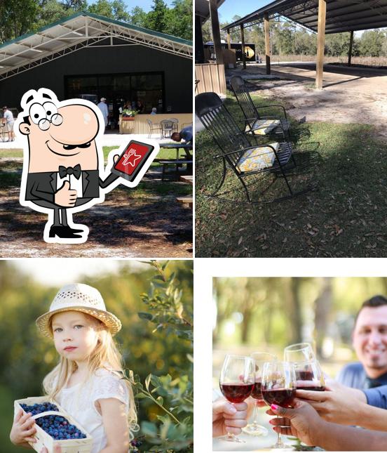 Cavallo Farm & Market, Lecanto - Restaurant menu, prices and reviews