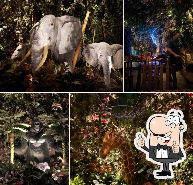 Rainforest Cafe Niagara Falls Canada, Niagara Falls - Menú del ...