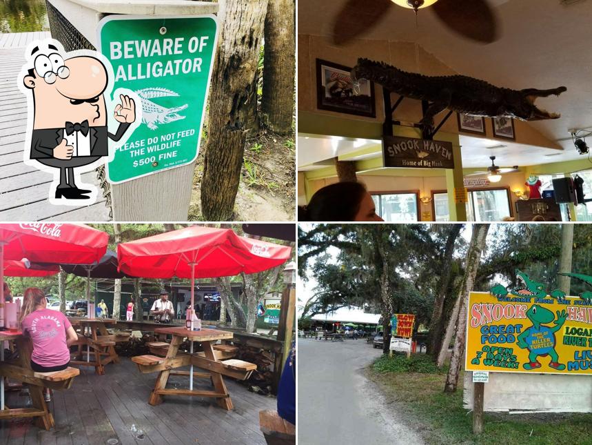 Snook Haven in Venice - Restaurant menu and reviews