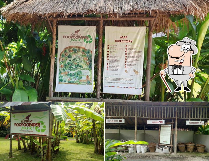Elephant POOPOOPAPER Park Chiang Mai cafe, Rim Tai - Restaurant reviews