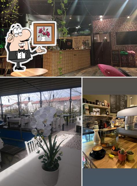 Pupa Coffee, Ankara - Restaurant reviews
