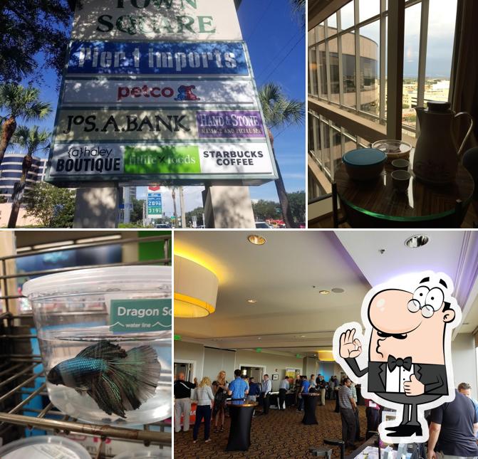 Town Square Center, Tampa - Restaurant menu, prices and reviews