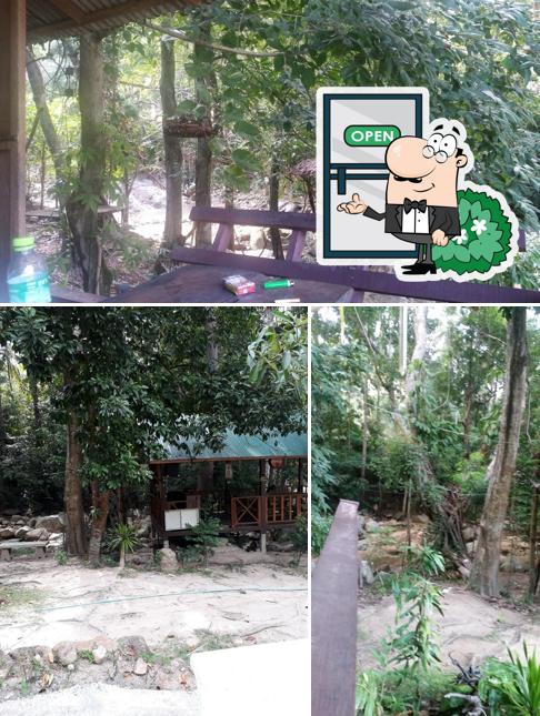 TARZAN BAR, Ko Samui - Restaurant reviews