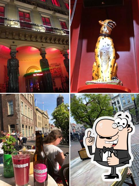 Winkel van Sinkel, Utrecht - Restaurant reviews