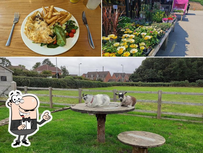 Chase Farm Cafe, Sutton Coldfield - Restaurant menu, prices and reviews