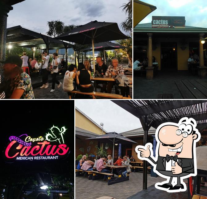 Cactus Mexican Restaurant, George - Restaurant menu, prices and reviews
