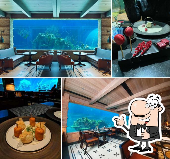 Koral: Bali’s First Aquarium Restaurant, Jimbaran - Restaurant menu and ...