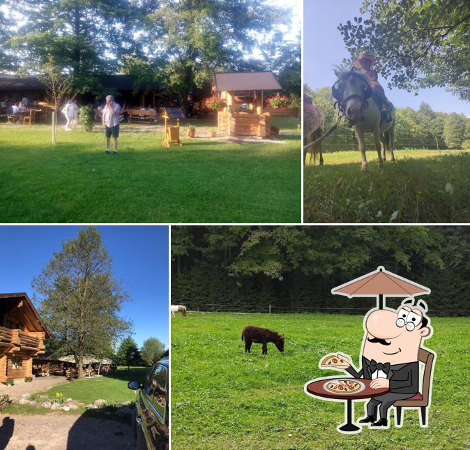 Acasă în Bucovina, Capu Câmpului - Restaurant reviews