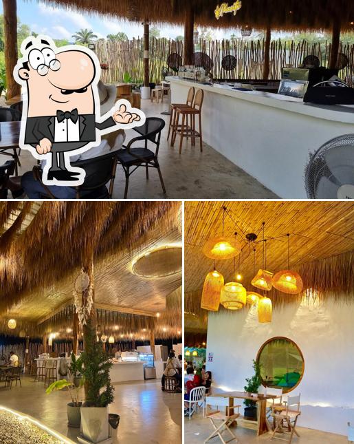 ภูสิตา คาเฟ่ แอนท์ บริทโตร (Phusita cafe and bistro), Tha Di ...